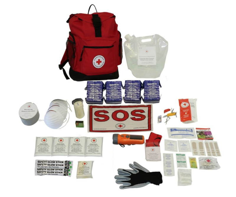 Basic Disaster Preparedness Kit - Lifeshield
